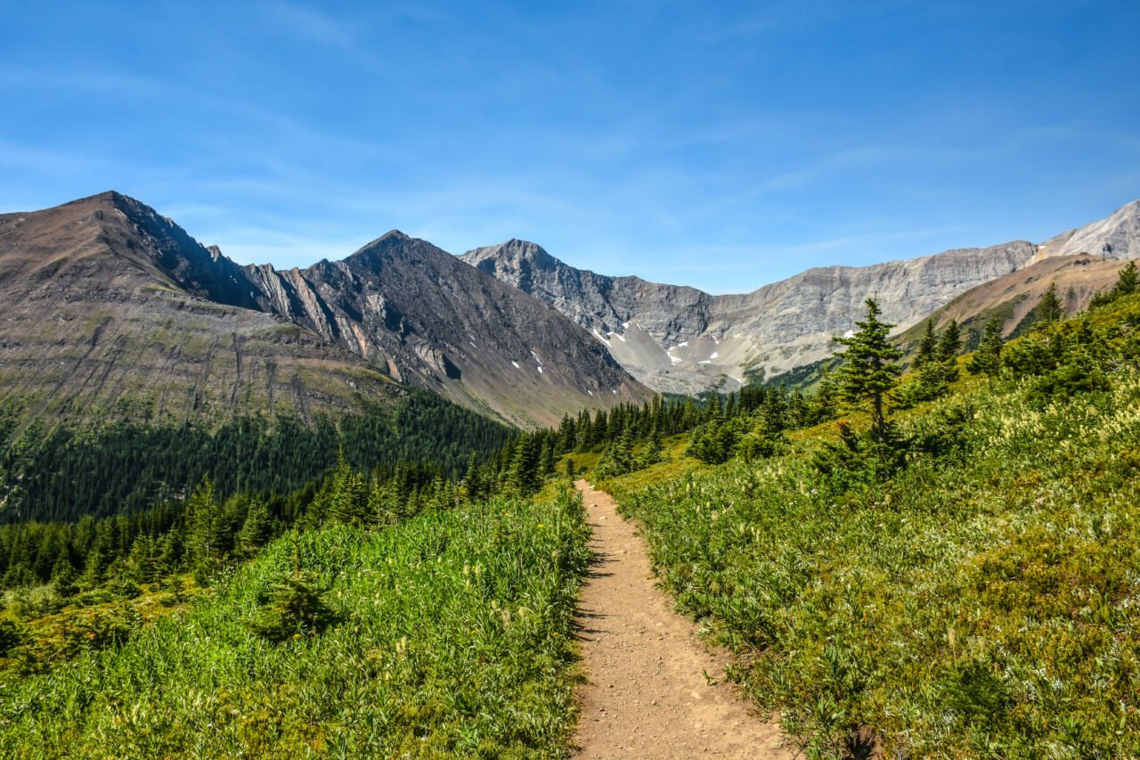 Mountain Meadow Trail Scenic Nature Landscape Wallpaper | Background ...