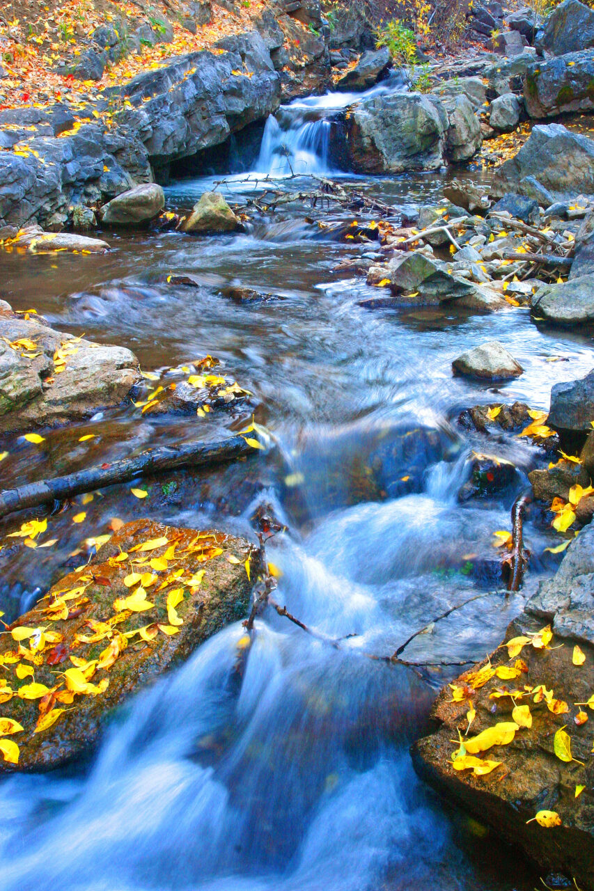 Serene Autumn Stream with Golden Leaves Wallpaper | Background FREE ...