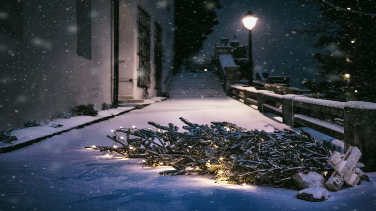 Serene Christmas Pathway Wallpaper | Background FREE Download - Vulplex.com