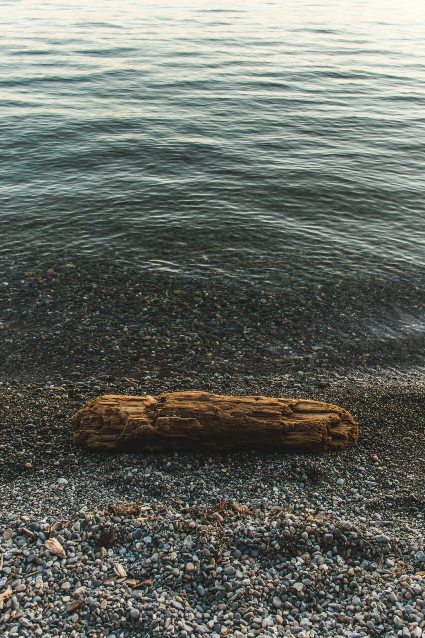 Serene Weathered Log on Pebble Beach Calm Shoreline Wallpaper ...