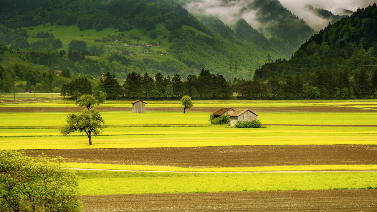 Serene Countryside Meadow with Barns and Misty Hills Wallpaper ...