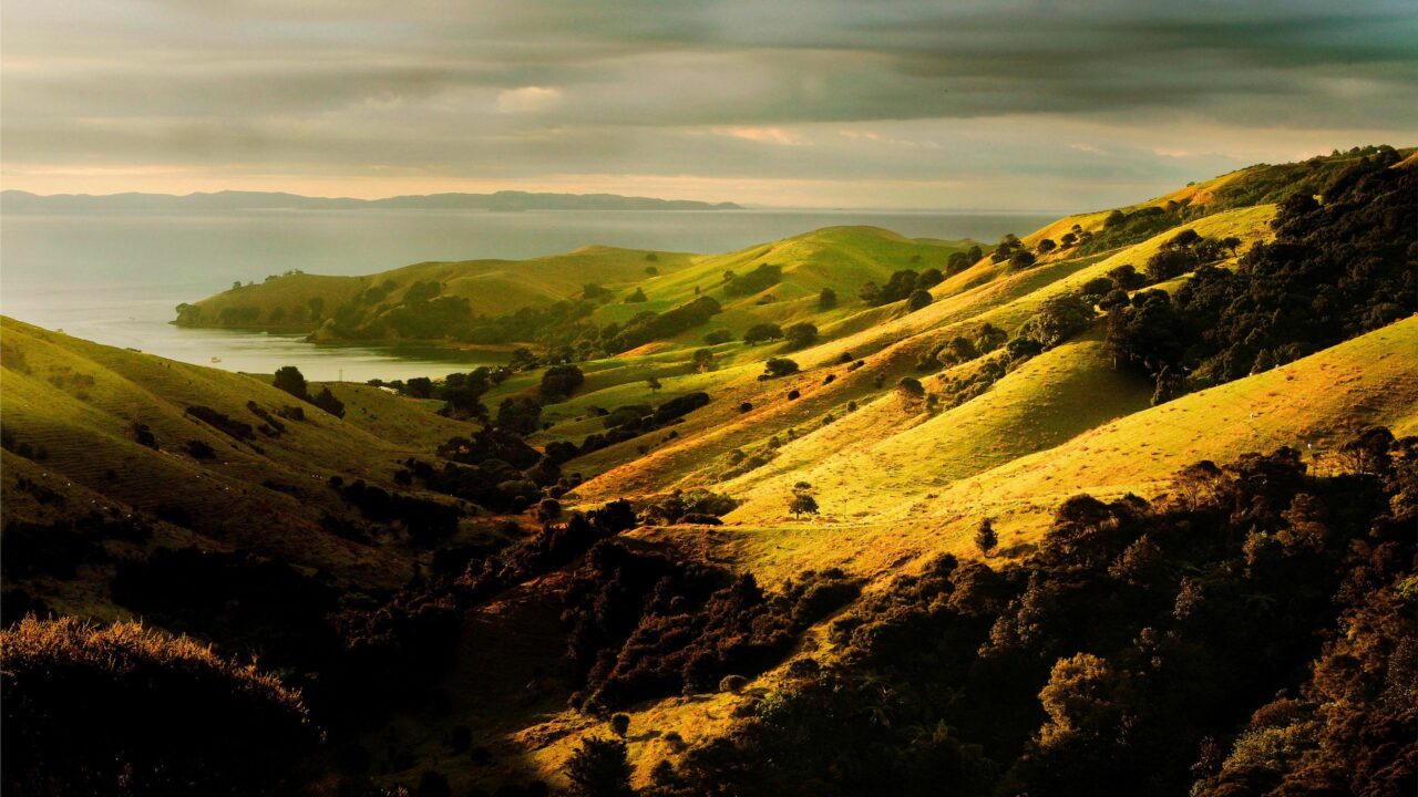 Serene Green Hills and Calm Water Lowland Wallpaper | Background FREE ...