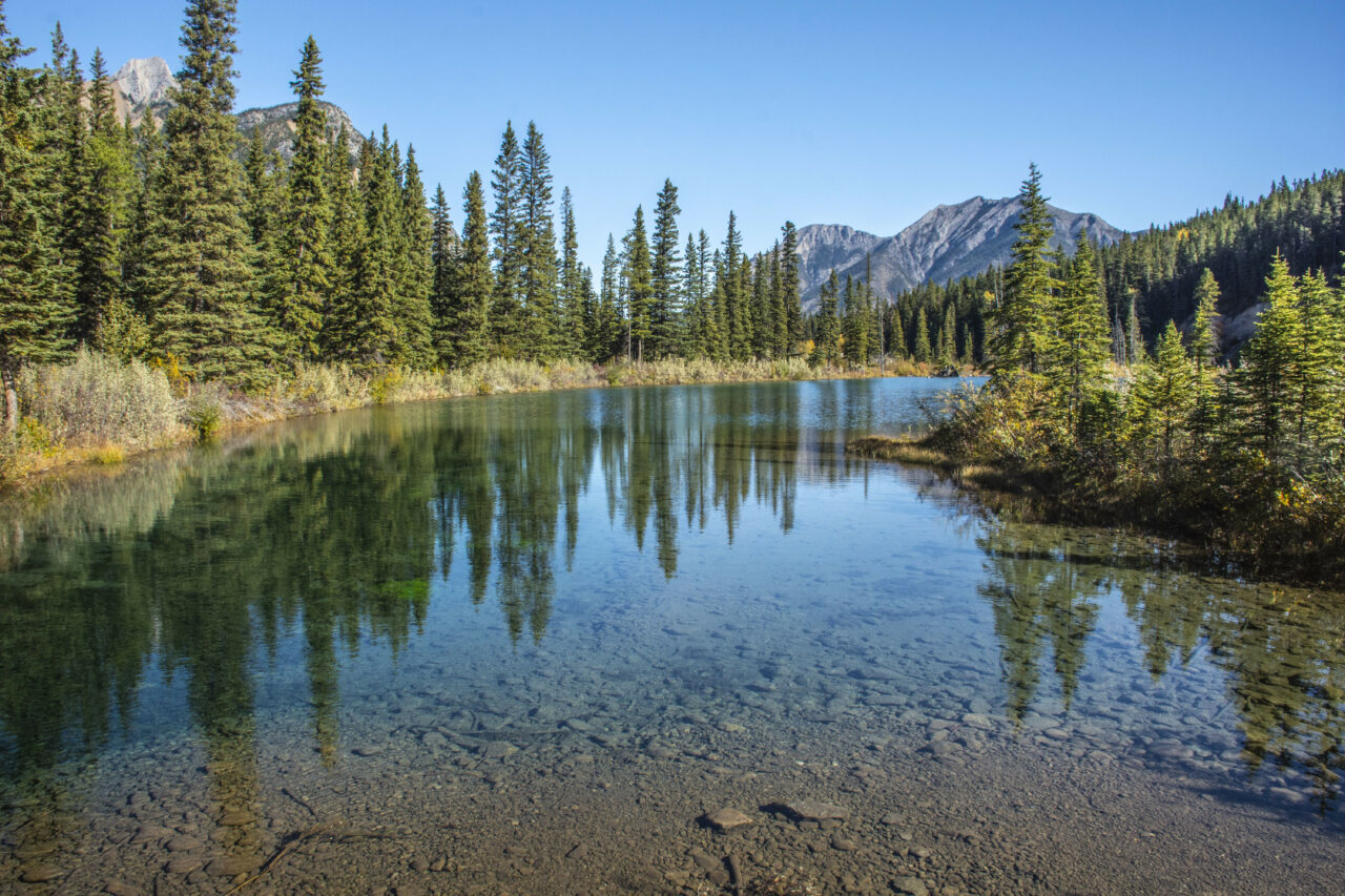 Serene Mountain Lake with Spruce Trees Wallpaper | Background FREE ...