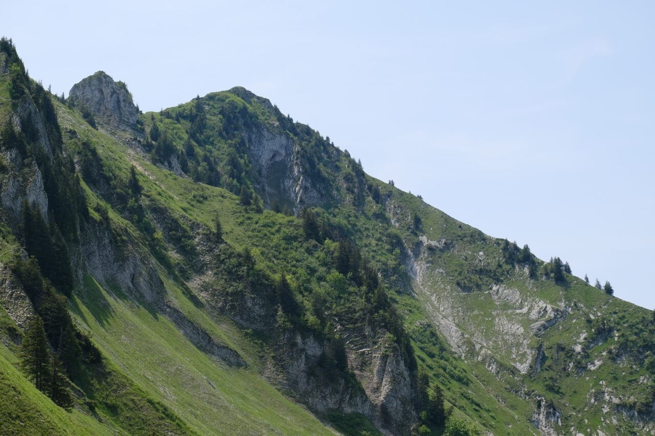 Serene Green Mountain Slopes Nature Wallpaper | Background FREE ...