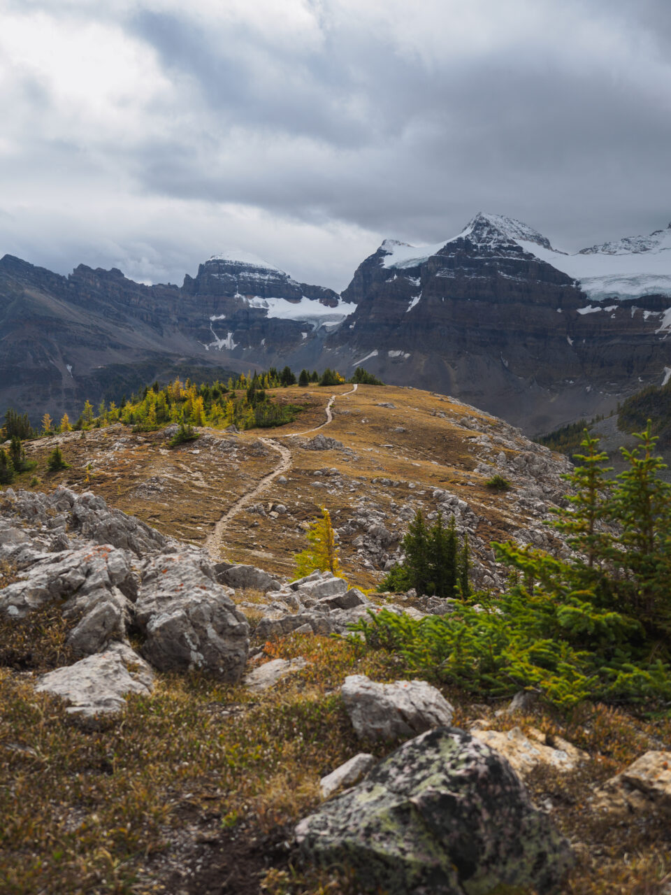Serene Mountain Path with Evergreen Trees and Golden Foliage Wallpaper ...