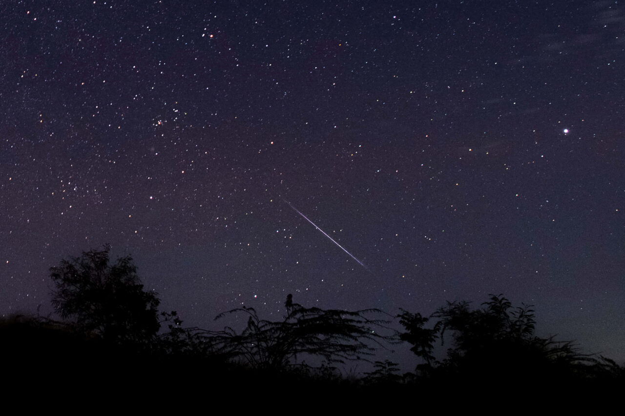Meteor Dance in a Starry Night Sky Wallpaper | Background FREE Download ...
