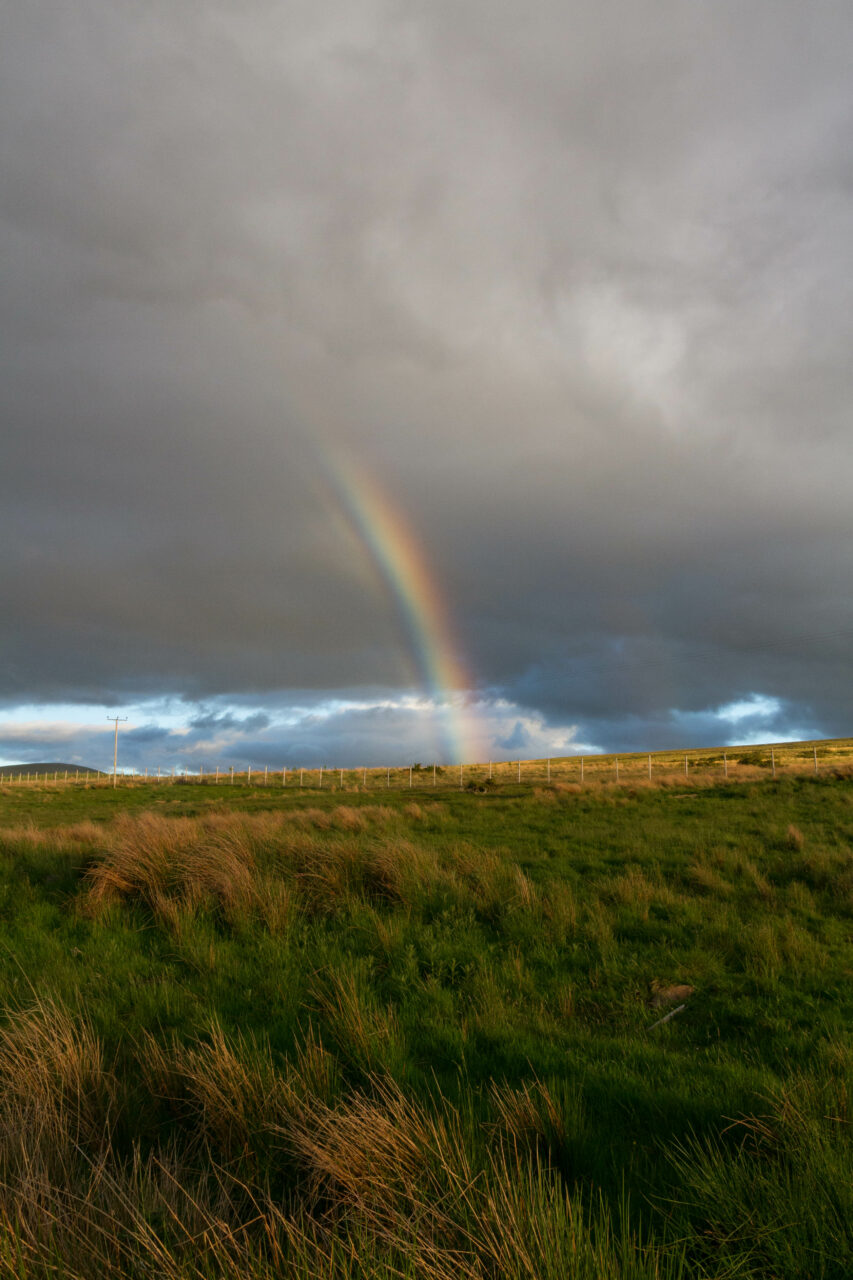 Serene Rainbow Over Green Field Calm Nature Wallpaper | Background FREE ...