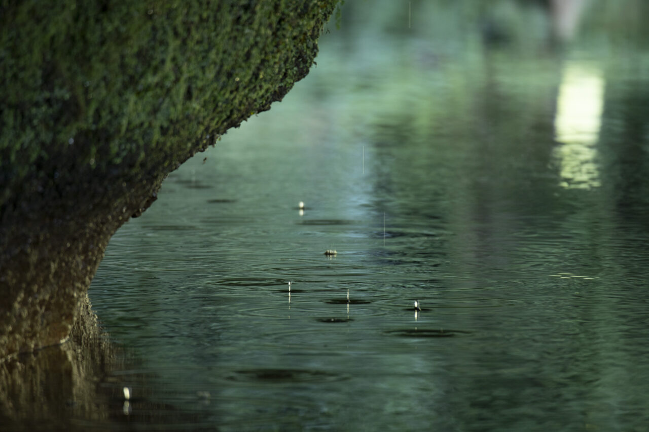 Tranquil Raindrops on a Calm River Wallpaper | Background FREE Download ...