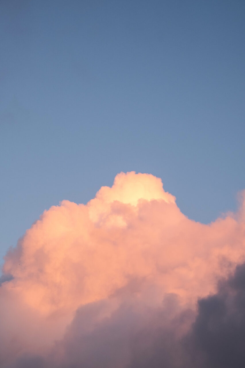 Soft Pink Cloud in Blue Sky Pastel Calm Wallpaper | Background FREE ...