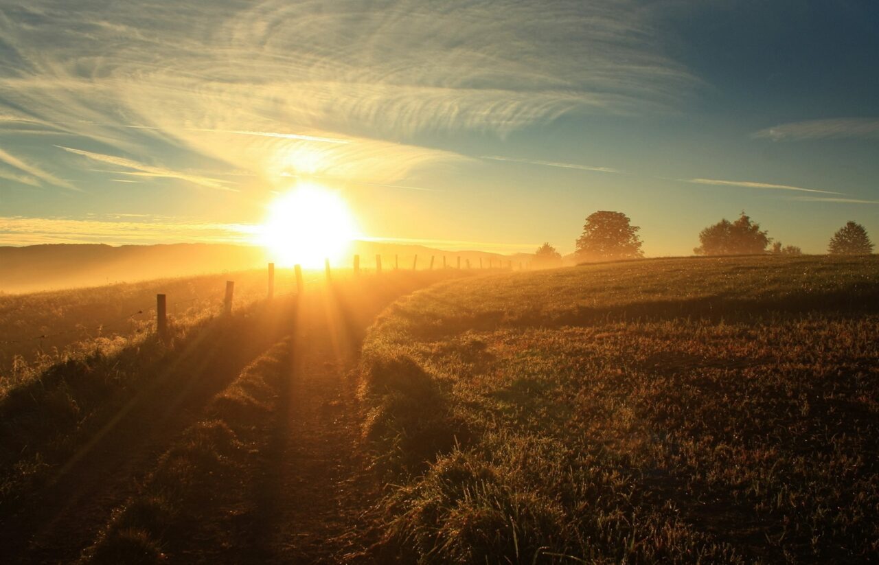 Golden Sunrise Over Countryside Fields Scenic Wallpaper | Background ...