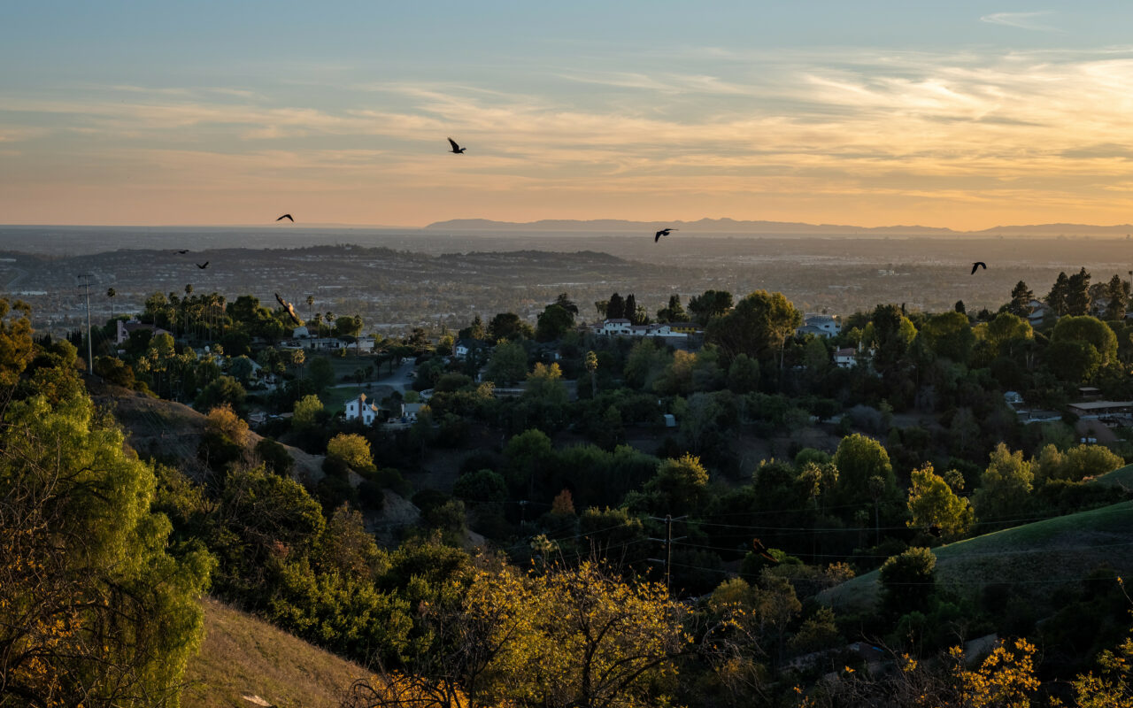 Sunset Hillside Landscape with Houses and Birds Wallpaper | Background ...