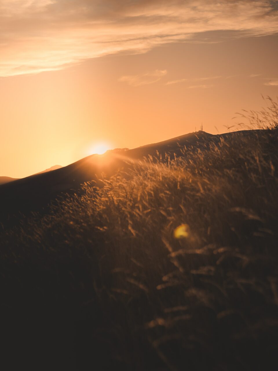 Golden Sunset Over Hill and Grasses Tranquil Landscape Wallpaper ...
