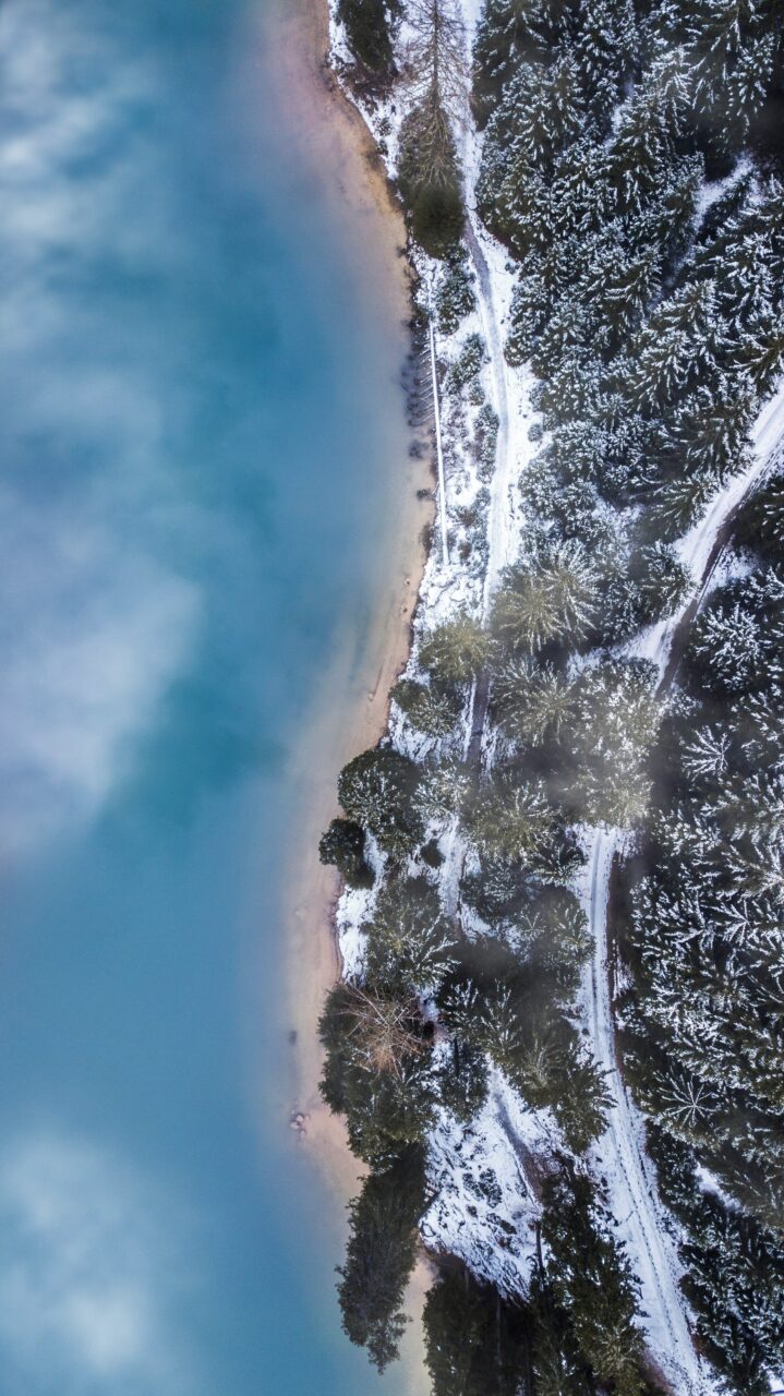 Serene Snowy Forest and Icy Lake Winter Wallpaper | Background FREE ...