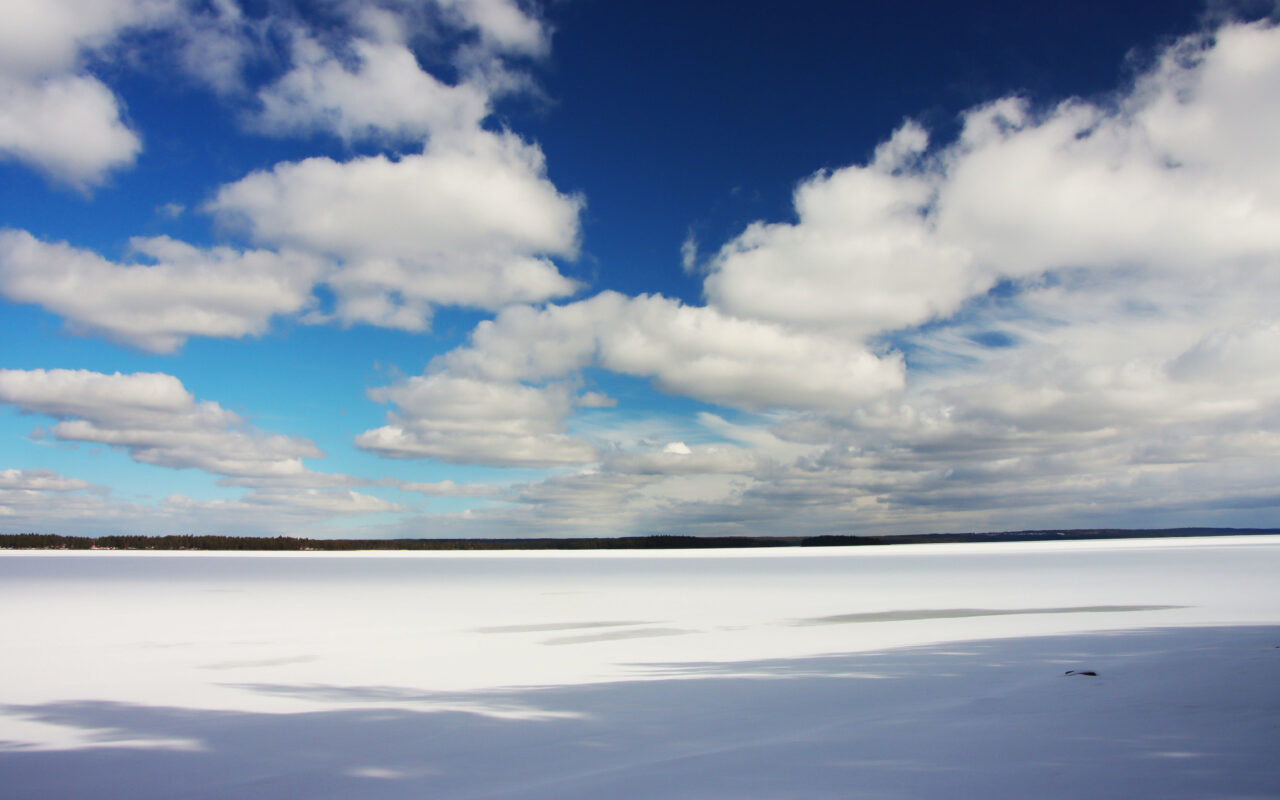 Serene Snowy Winter Field Under Blue Sky Wallpaper | Background FREE ...