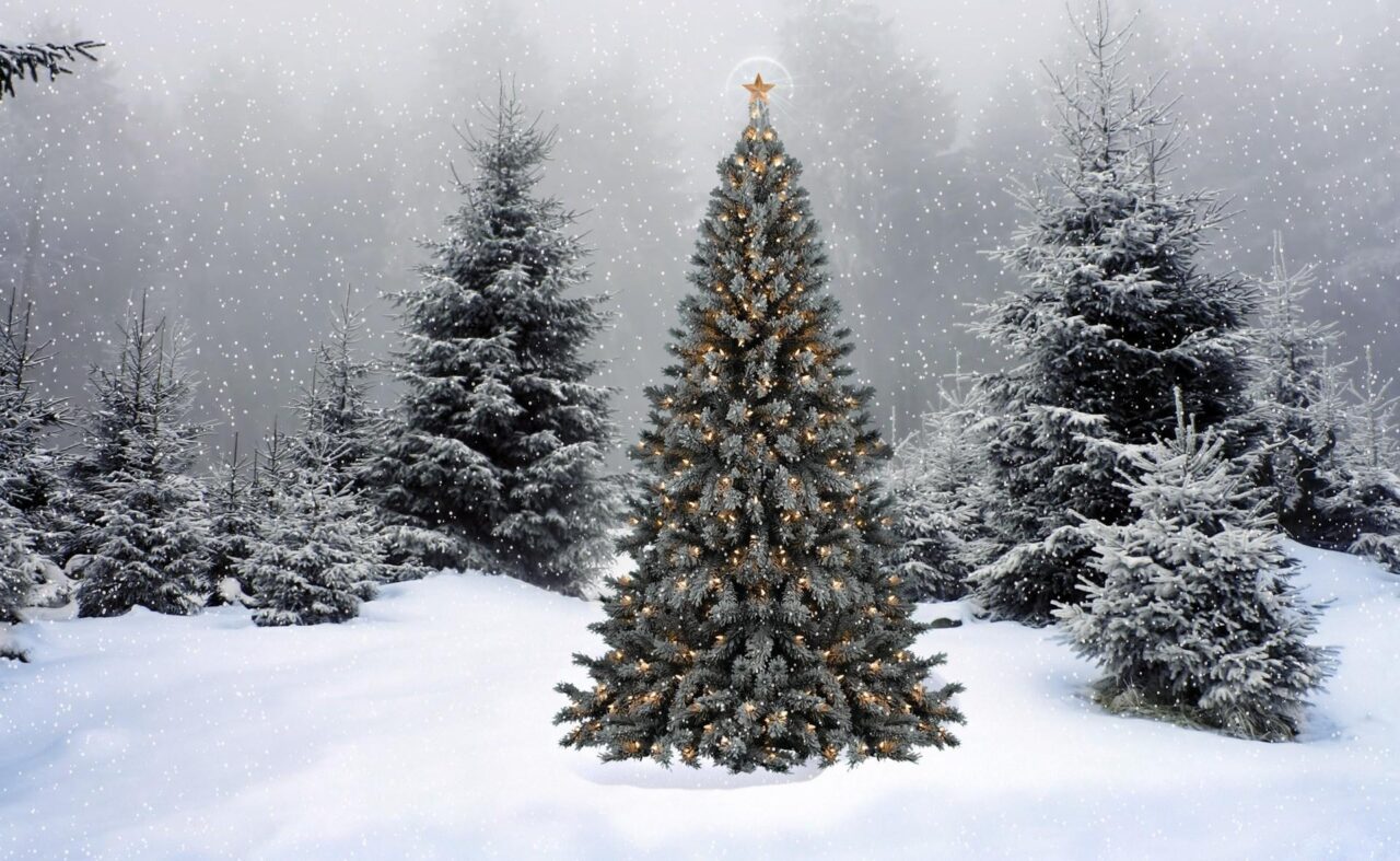 Festive Snowy Forest Christmas Tree Wallpaper | Background FREE ...
