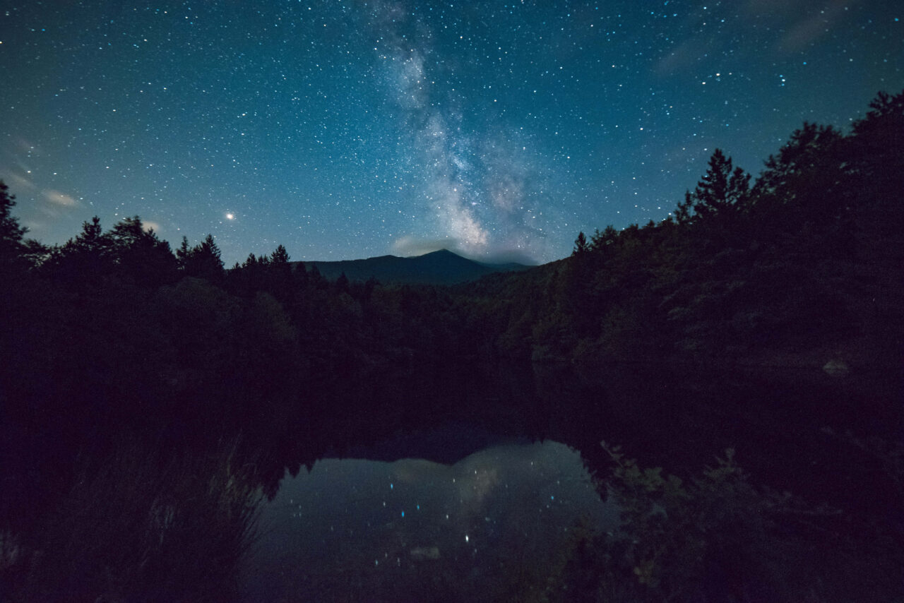 Starry Night Over Enchanted Forest Wallpaper | Background FREE Download ...