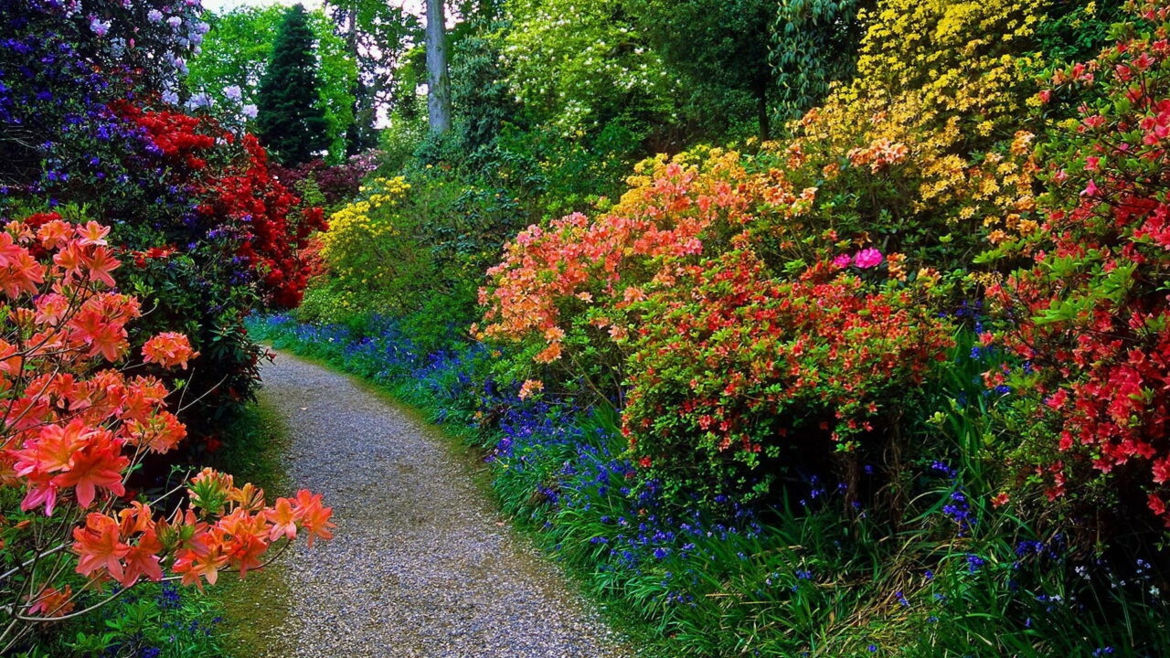 Serene Garden Pathway Wallpaper | Background FREE Download - Vulplex.com
