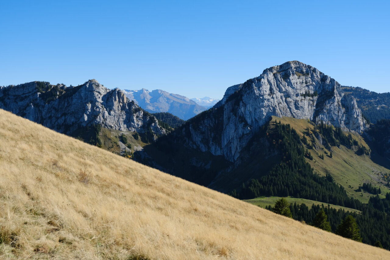 Sunlit Alpine Peaks and Golden Slopes Wallpaper | Background FREE ...