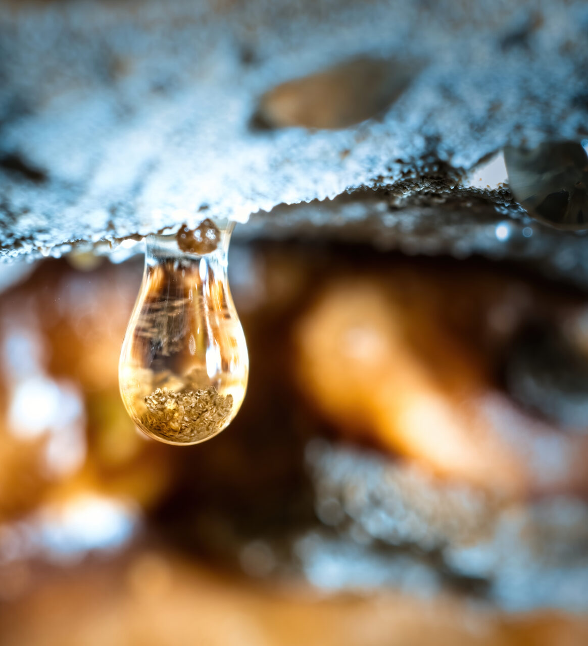 Glistening Ice and Water Droplet Wallpaper | Background FREE Download ...