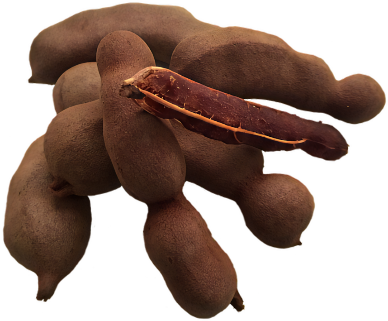 Rough Tamarind Pods Revealing Tangy Pulp Wallpaper | Background FREE ...