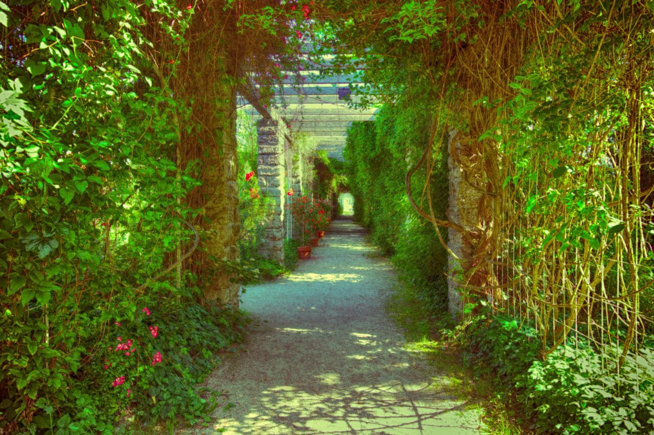 Enchanted Stone Garden Pathway Sunlit Wallpaper | Background FREE ...