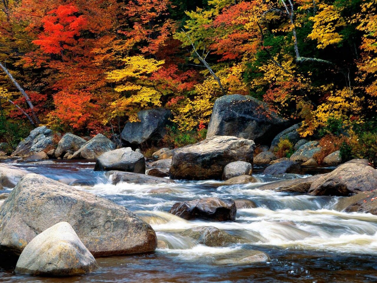 Autumn River Flow Over Rocks Scenic Forest Wallpaper | Background FREE ...