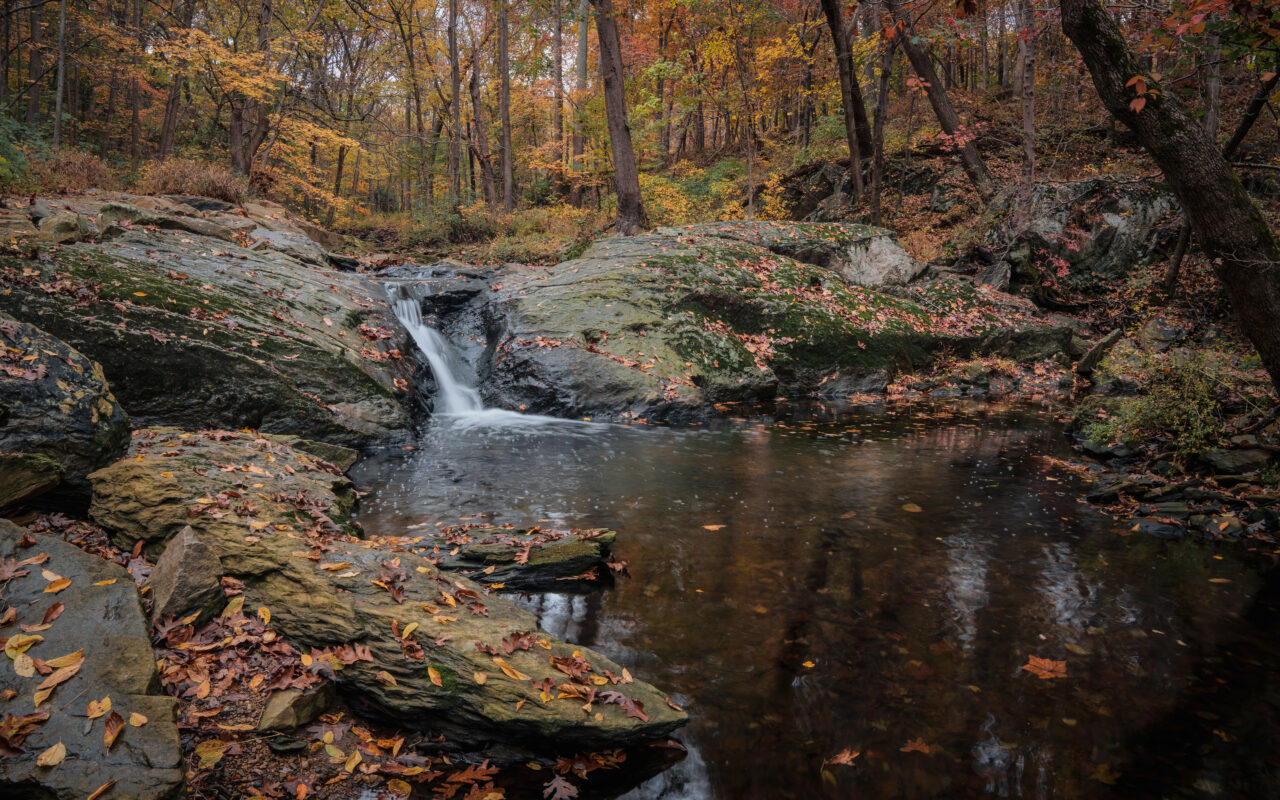 Autumn Waterfall with Stones and Leaves Tranquil Wallpaper | Background ...