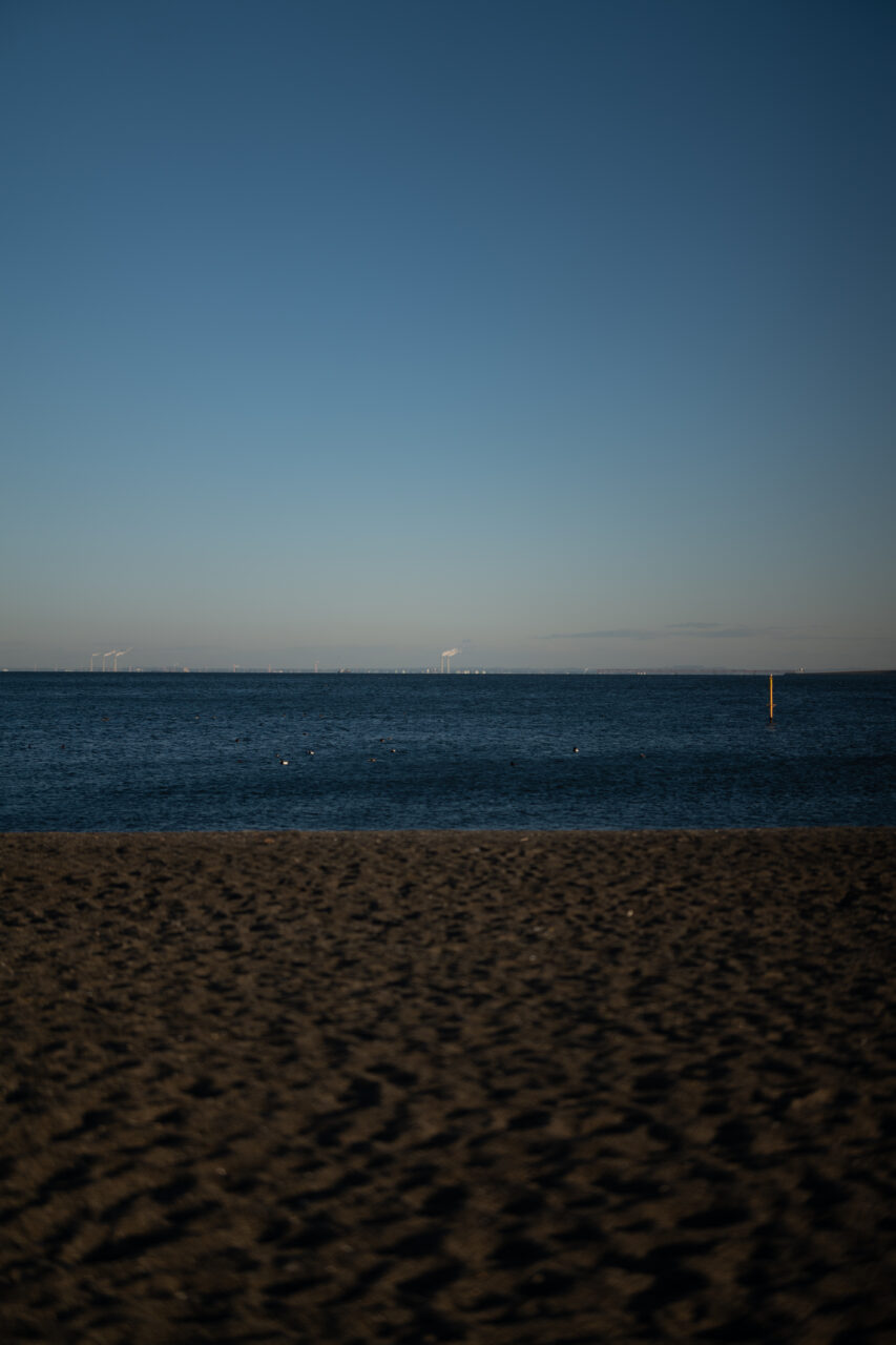 Tranquil Golden Sand Beach Calm Sea Wallpaper | Background FREE ...