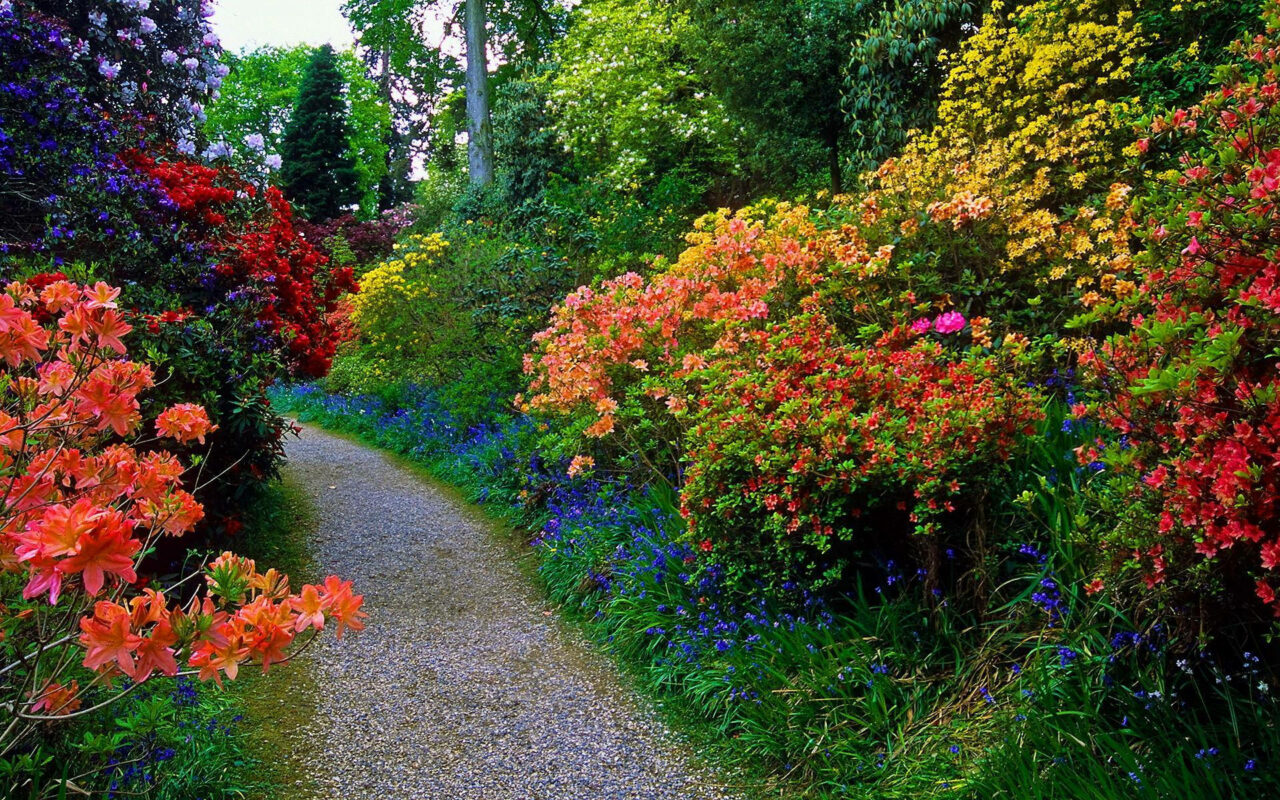 Flower Pathway Serenity Wallpaper | Background FREE Download - Vulplex.com