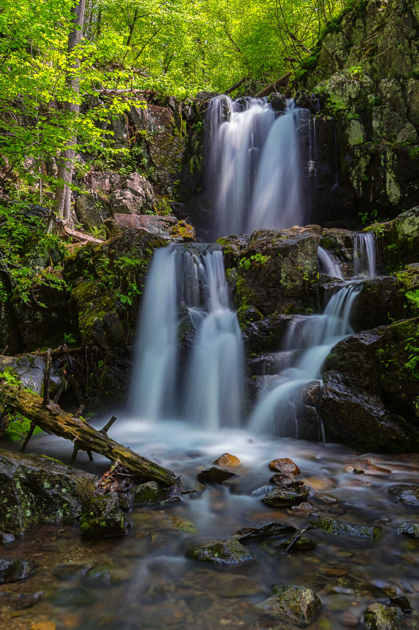 Serene Waterfall Over Stones in Lush Forest Wallpaper | Background FREE ...