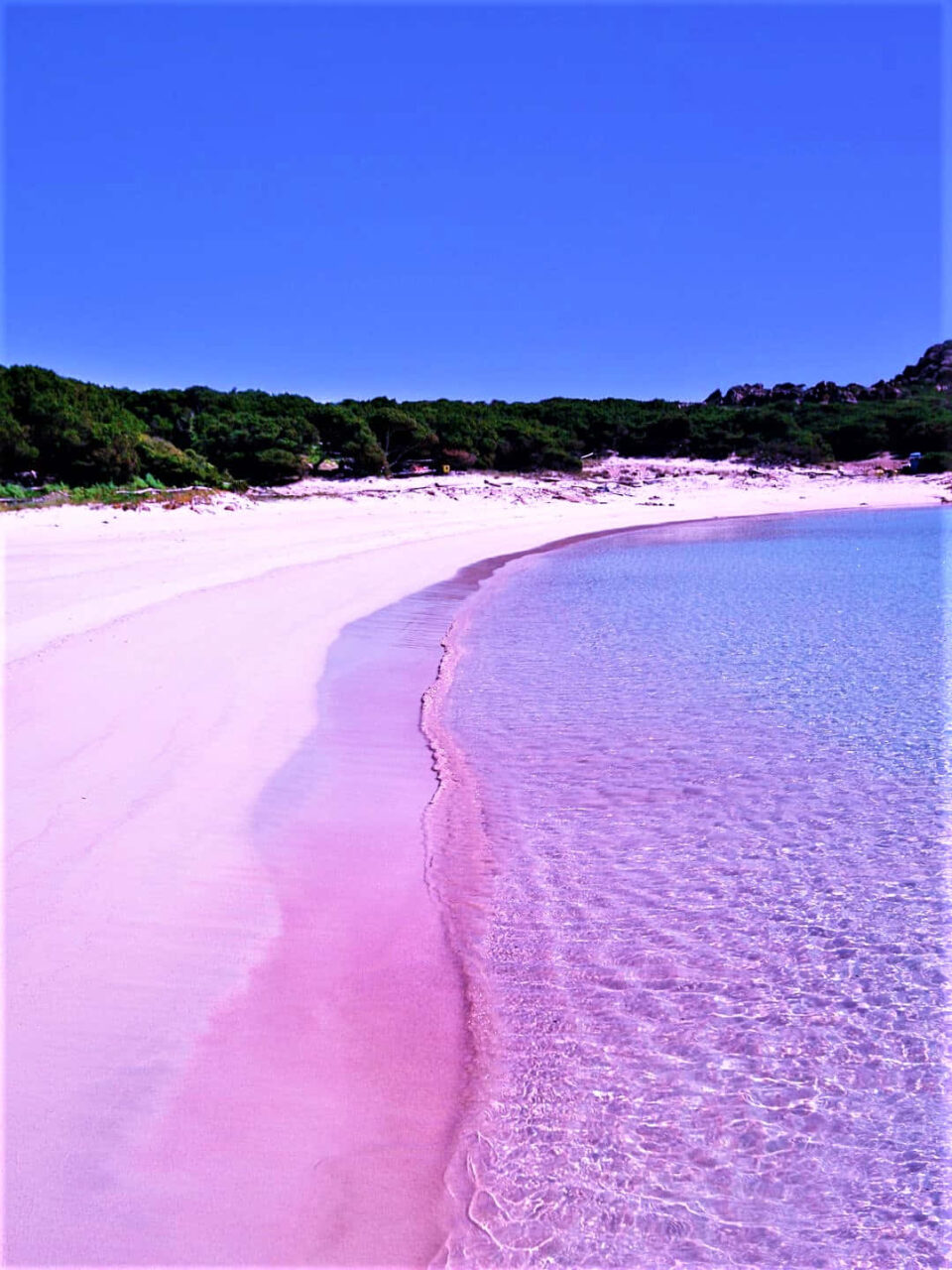 Tranquil Pink Paradise Beach Wallpaper | Background FREE Download ...