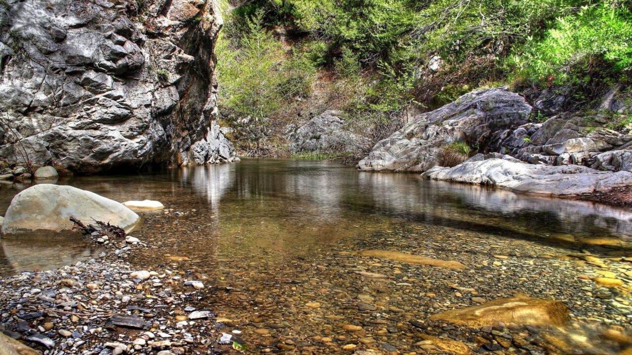 Tranquil Stream with Smooth Stones Natural Landscape Wallpaper ...