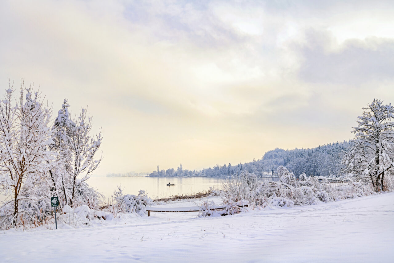 Tranquil Winter Lake Snowy Trees Calm Nature Wallpaper | Background ...