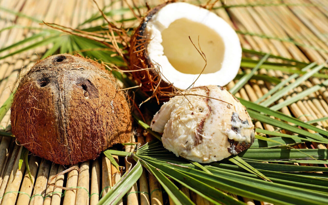46+ Coconut Wallpapers | Backgrounds (HD+) - Vulplex.com