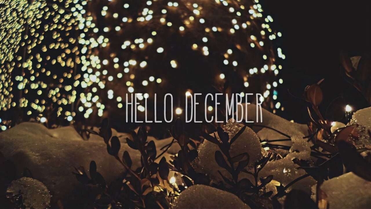 Twinkling Fairy Lights on Snowy Branches Hello December Wallpaper ...