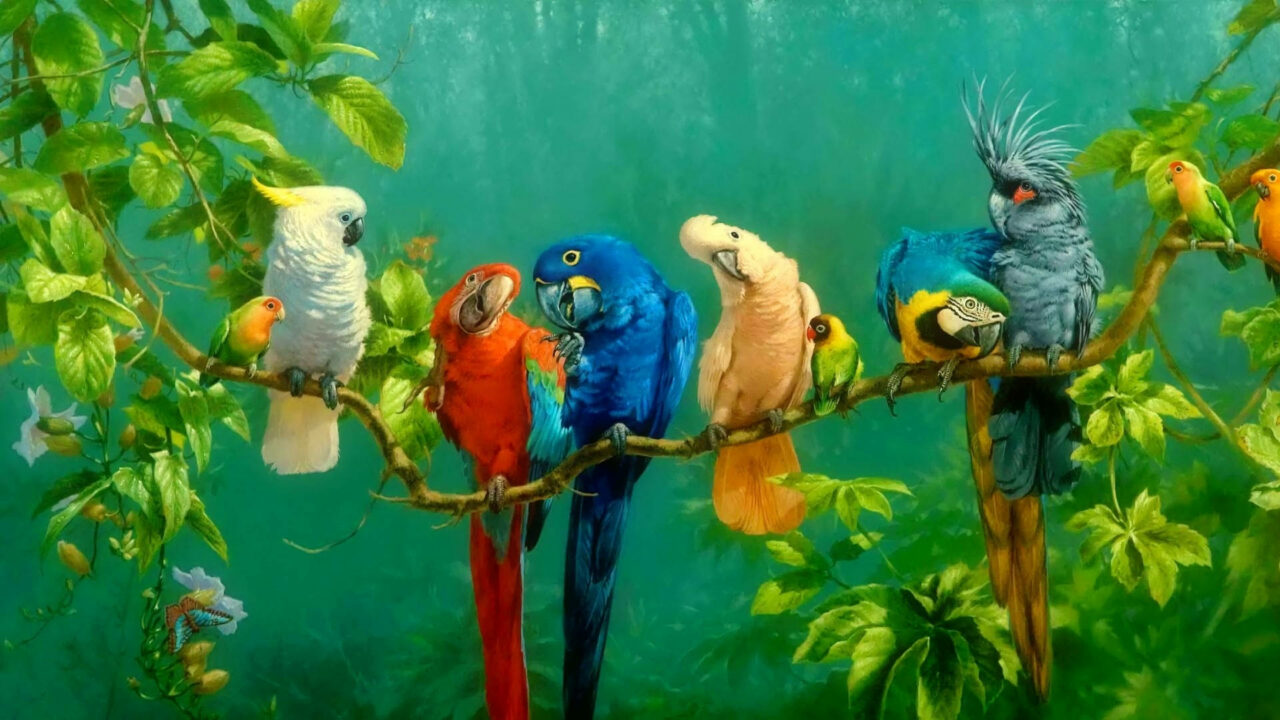 Vibrant Parrots in Tropical Paradise Wallpaper | Background FREE ...