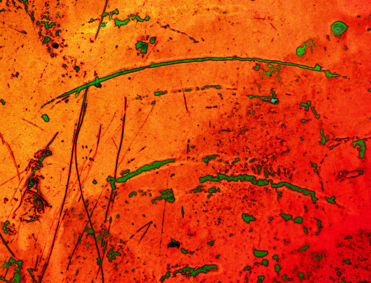 Vibrant Saturated Texture Wallpaper | Background FREE Download ...