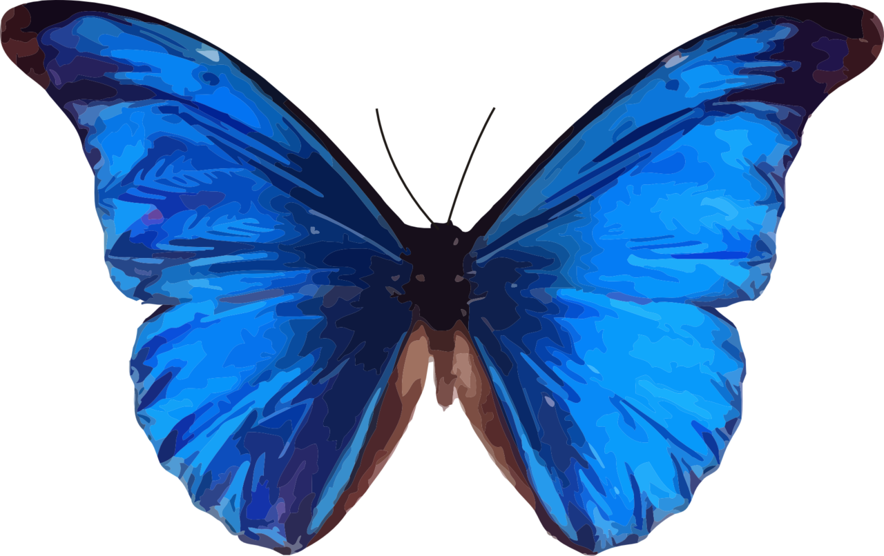 Vivid Blue Butterfly Vector Art Wallpaper | Background FREE Download ...