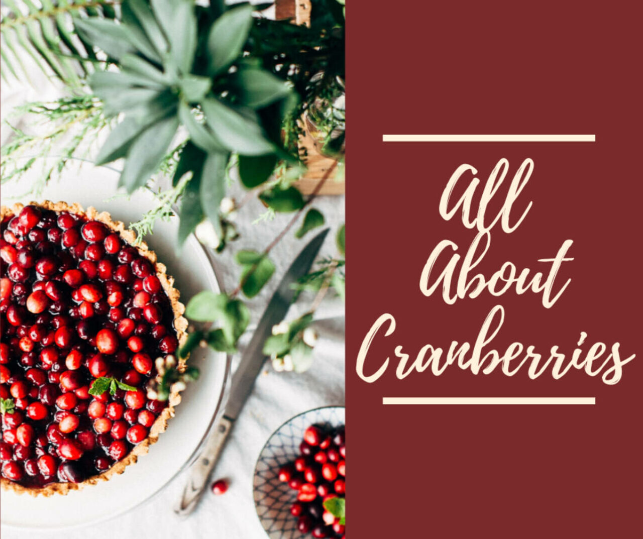 Cranberry Tart Elegance Graphic Design Wallpaper | Background FREE ...