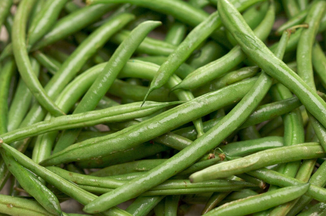 Fresh Green Beans Texture Wallpaper | Background FREE Download ...
