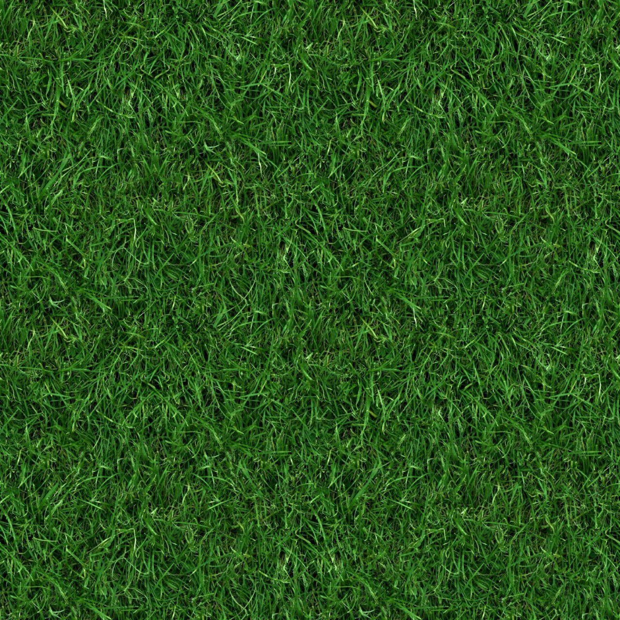 Lush Greenery Texture Nature Wallpaper | Background FREE Download ...