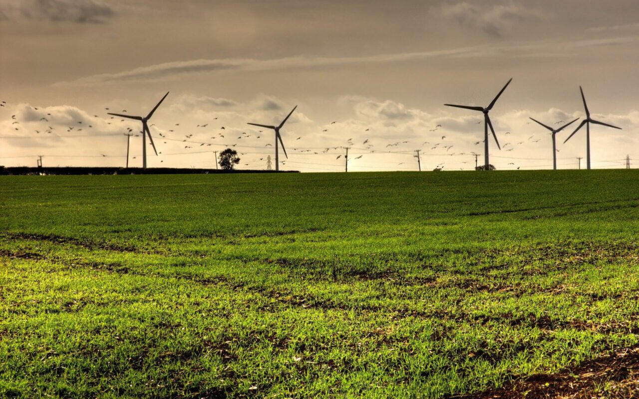 Golden Summer Wind Turbines in Green Field Wallpaper | Background FREE ...