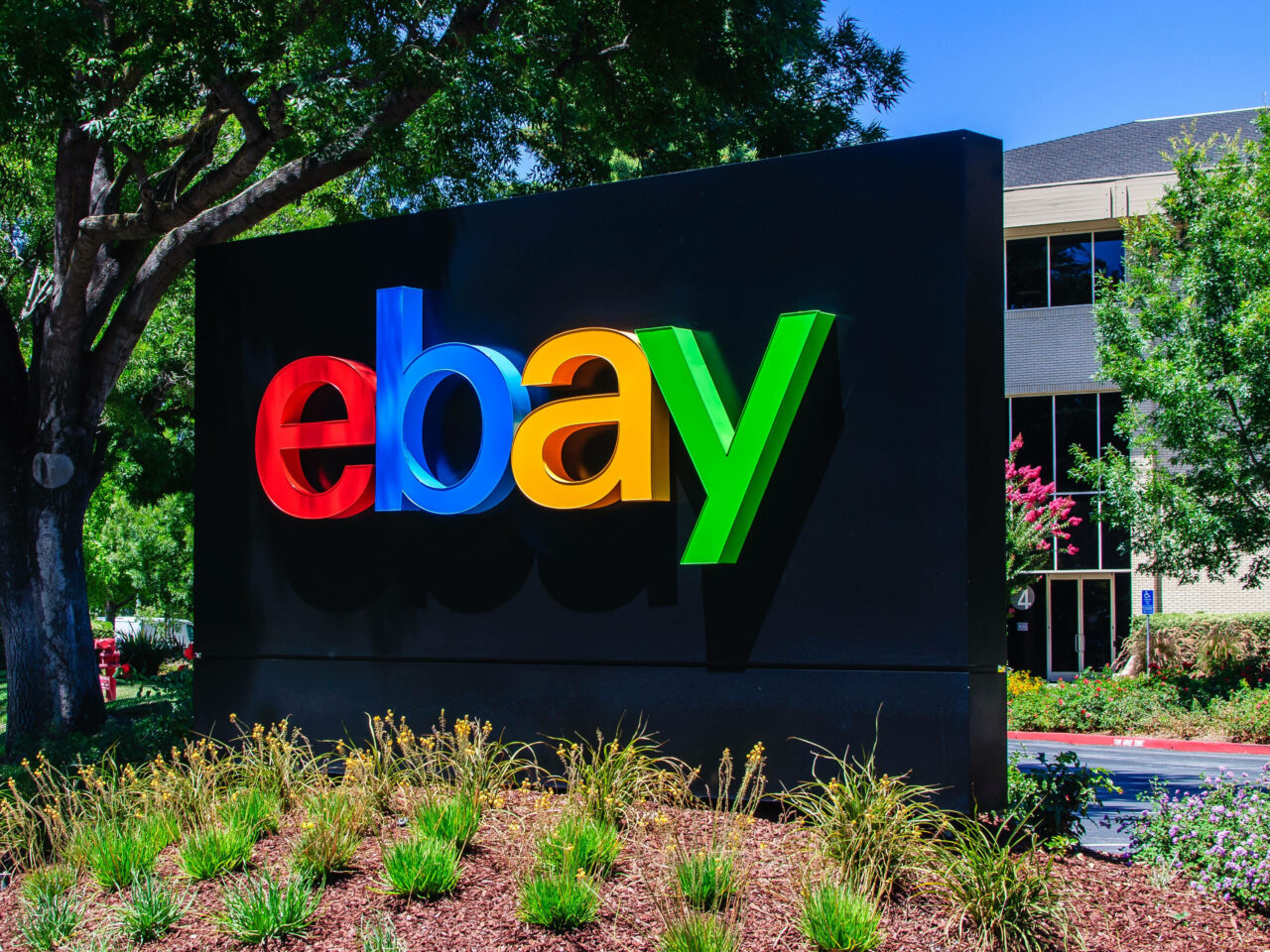 eBay Logo with Greenery and Office Architecture Wallpaper | Background ...