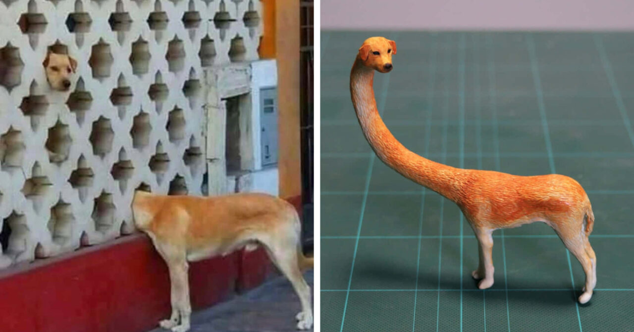 Long Neck Dog Delight Wallpaper | Background FREE Download - Vulplex.com