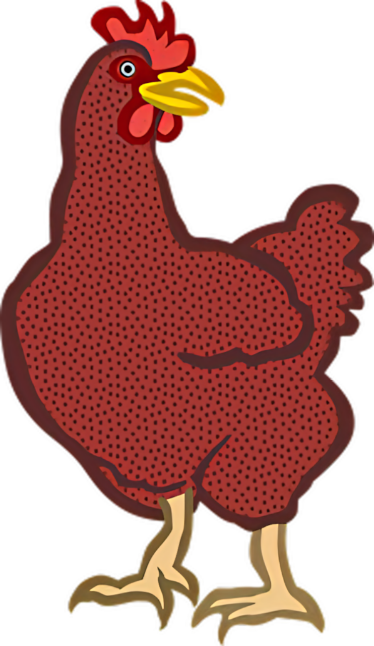 Charming Red Hen Cartoon Illustration Wallpaper | Background FREE ...