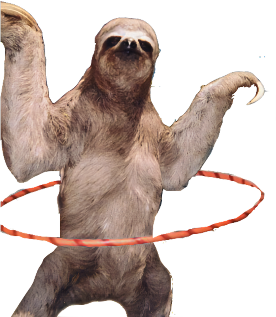 Joyful Sloth Hula Hooping Wallpaper | Background FREE Download ...
