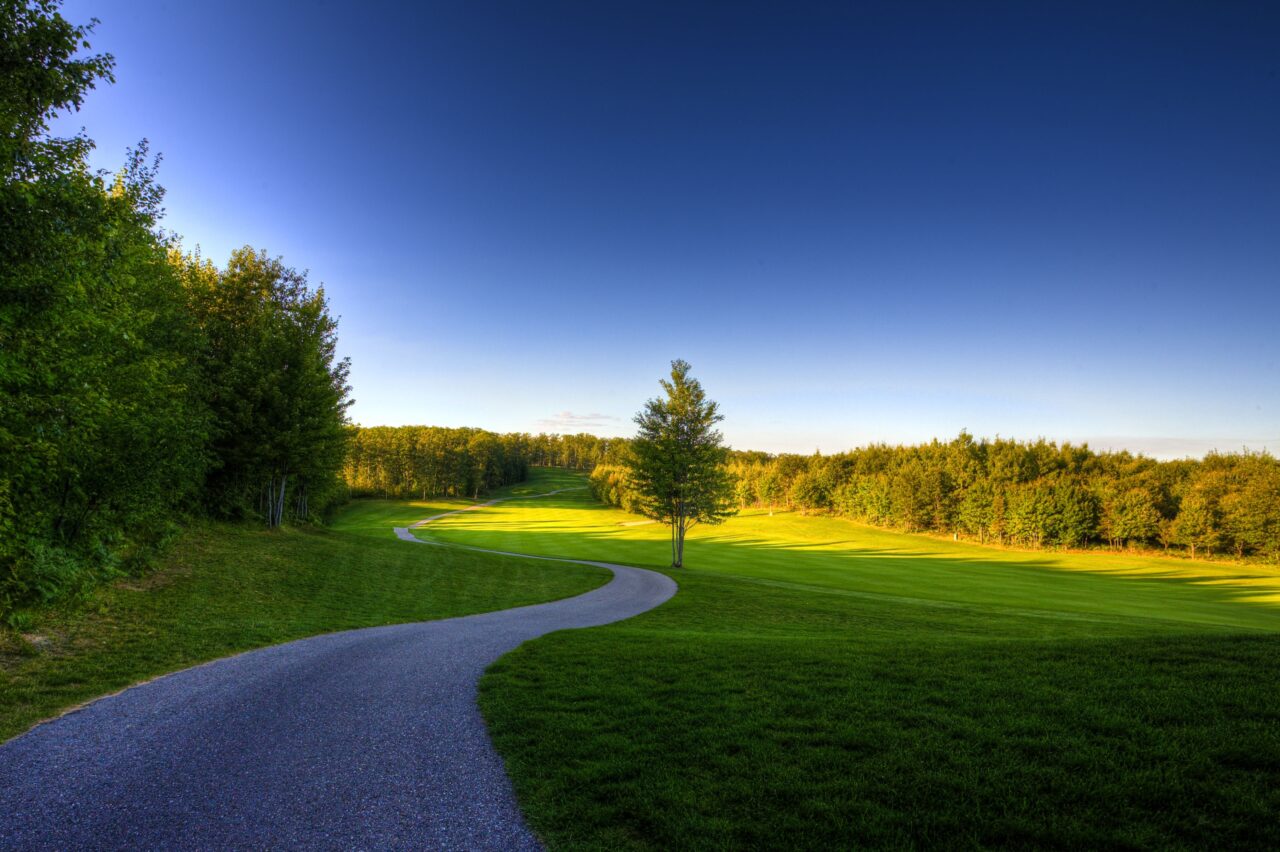 Winding Meadow Road Tranquil Nature Scene Wallpaper | Background FREE ...