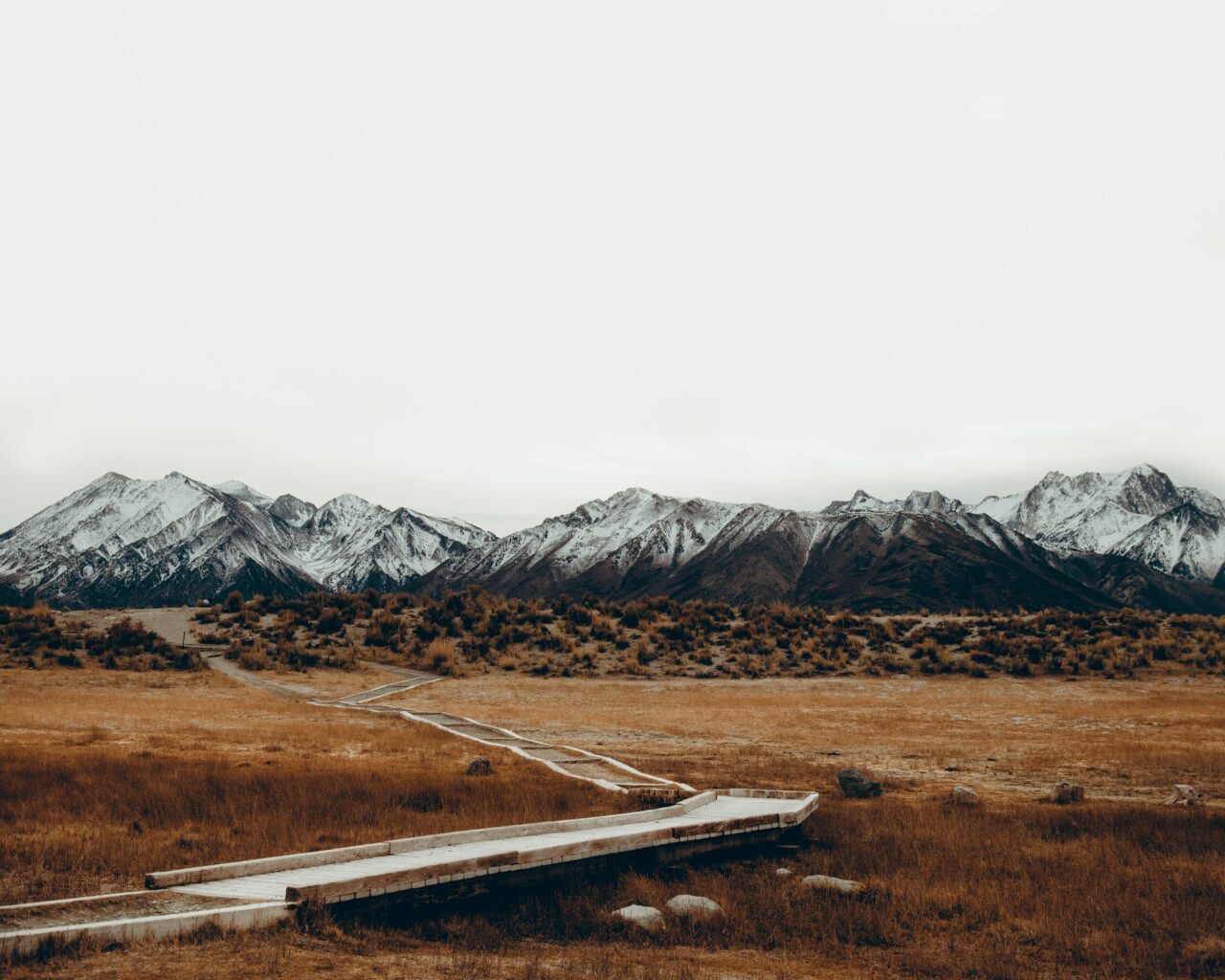 Golden Grassland Trail to Snowy Mountains Wallpaper | Background FREE ...